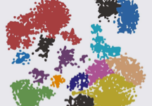 Single cell proteomics | Tami Geiger